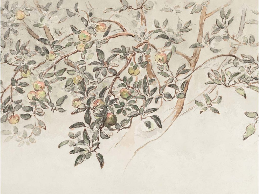 Apple Tree - Trove Prints