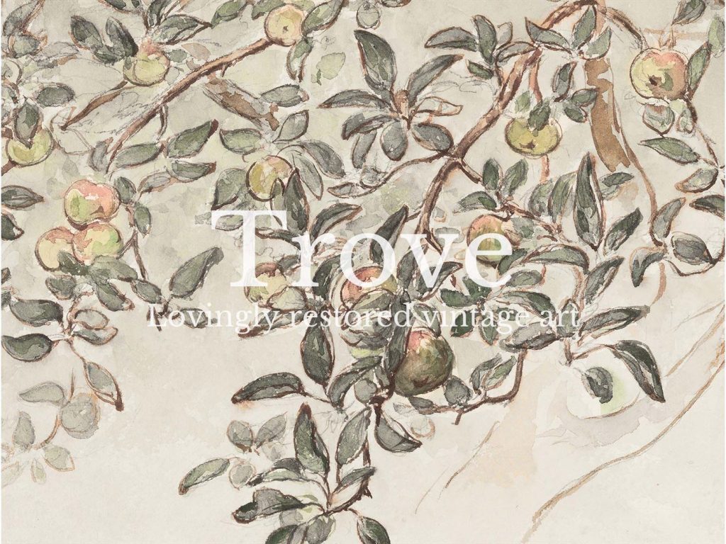Apple Tree - Trove Prints