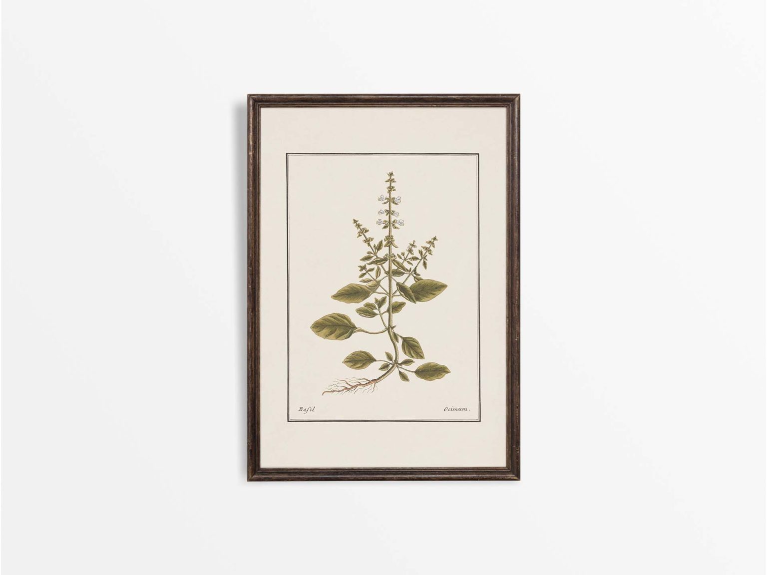 All Prints - Trove Prints