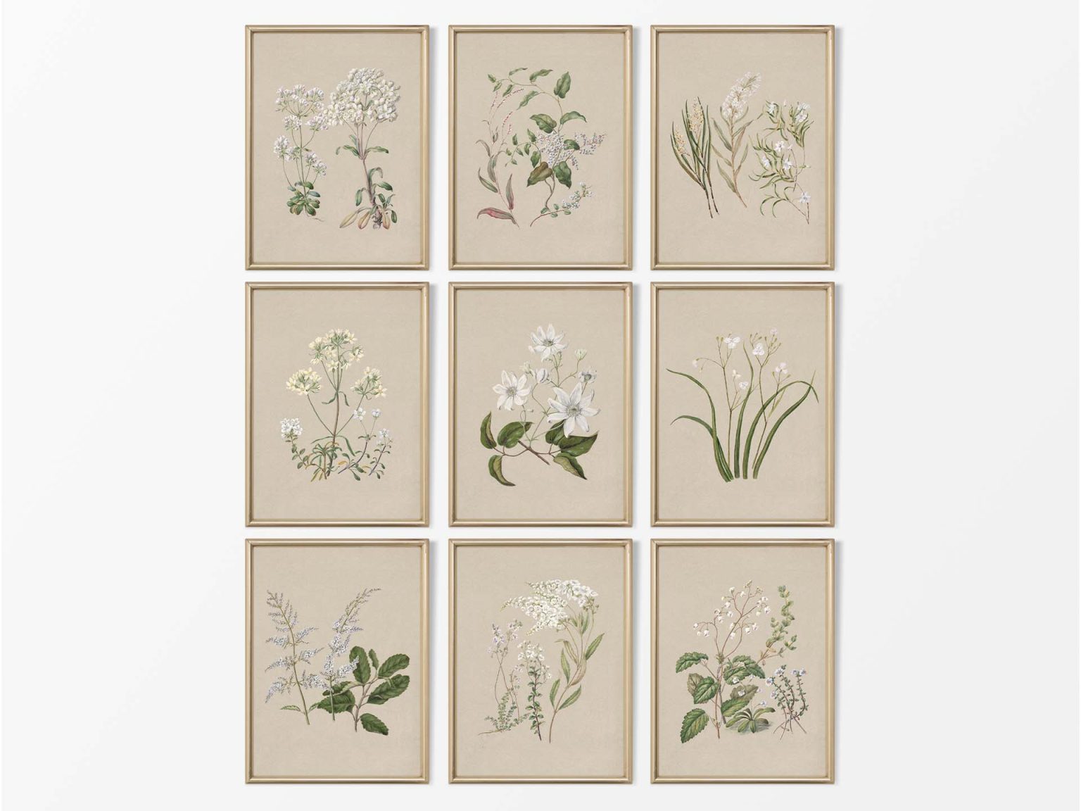 All Prints - Trove Prints