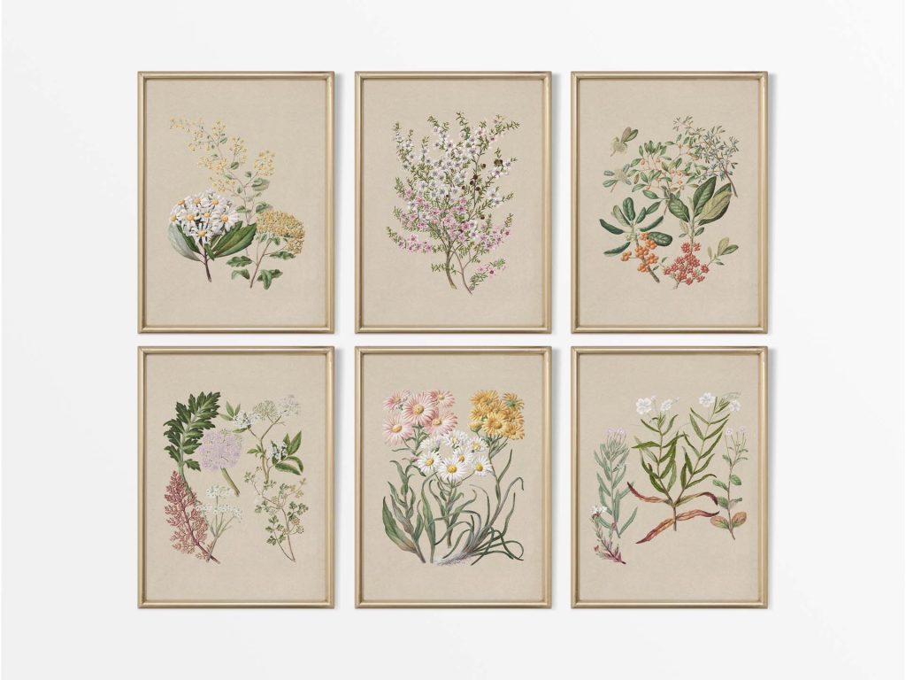 All Prints - Trove Prints