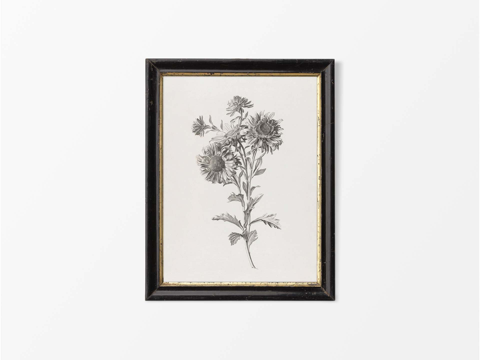 Print Sets - Trove Prints