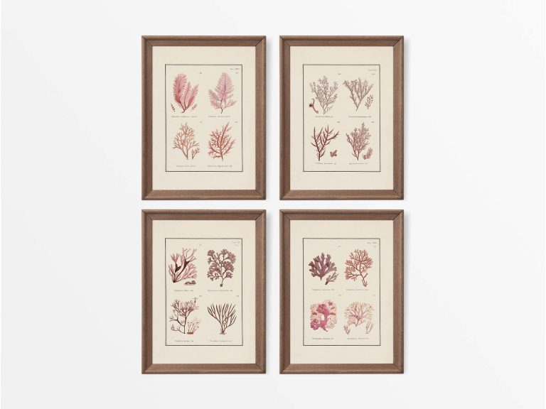 All Prints - Trove Prints