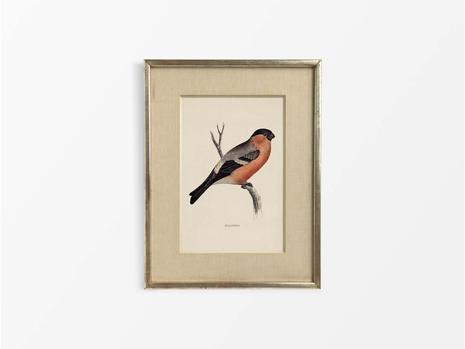 All Prints - Trove Prints