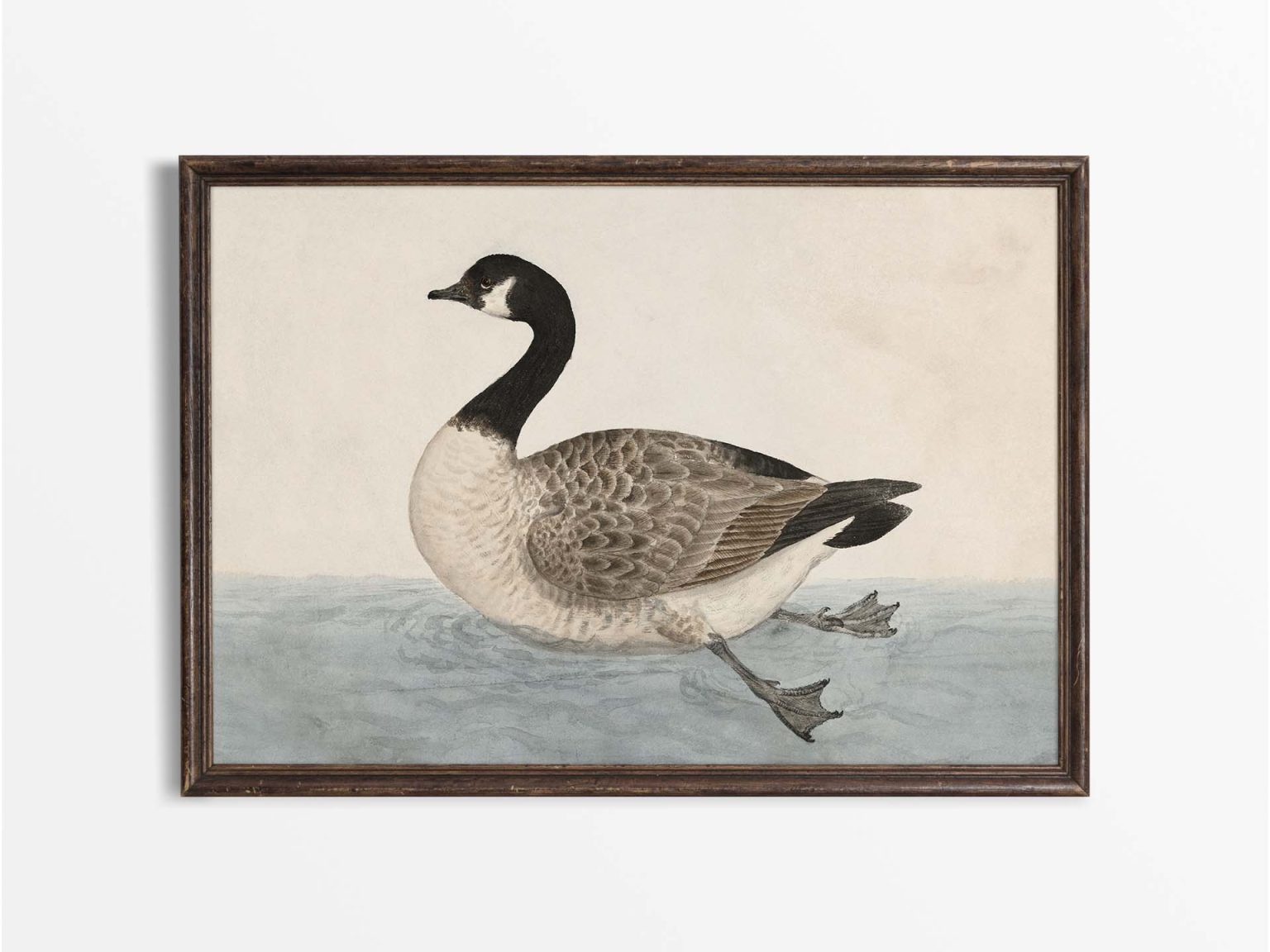 All Prints - Trove Prints