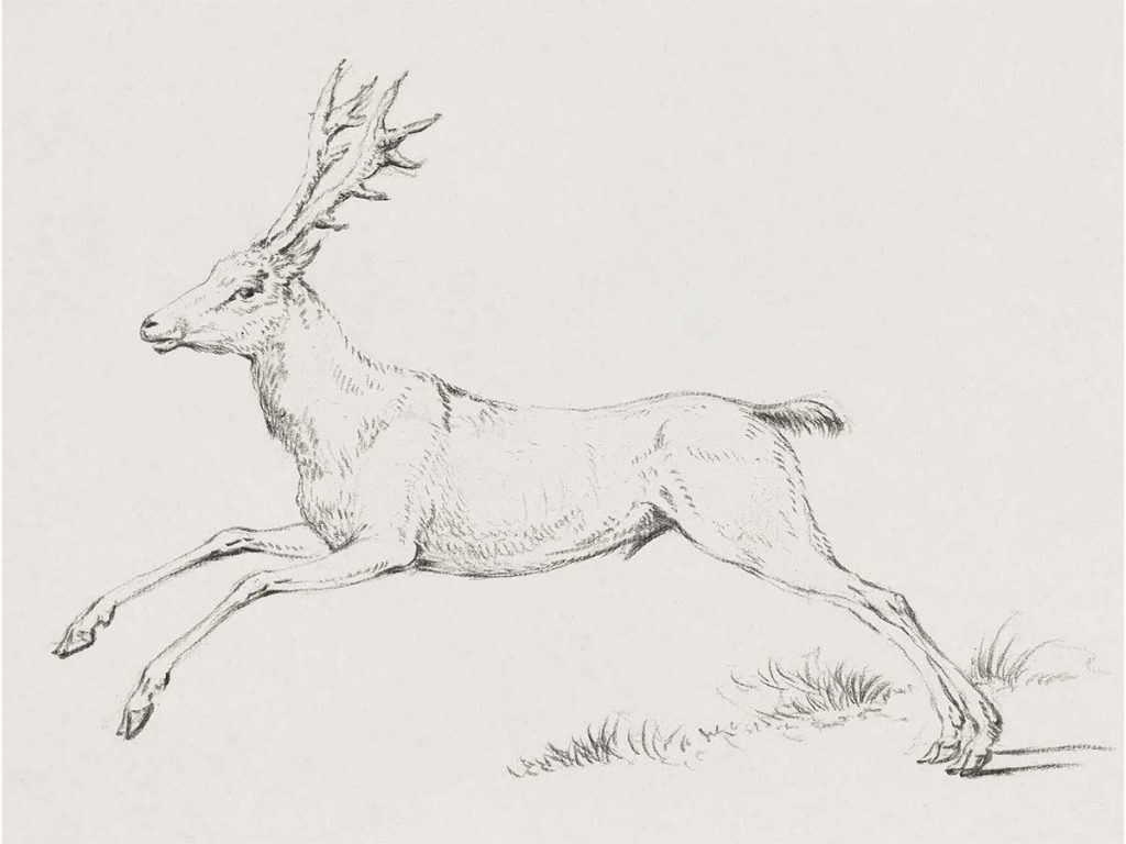 Lovingly restored vintage art - Trove Prints