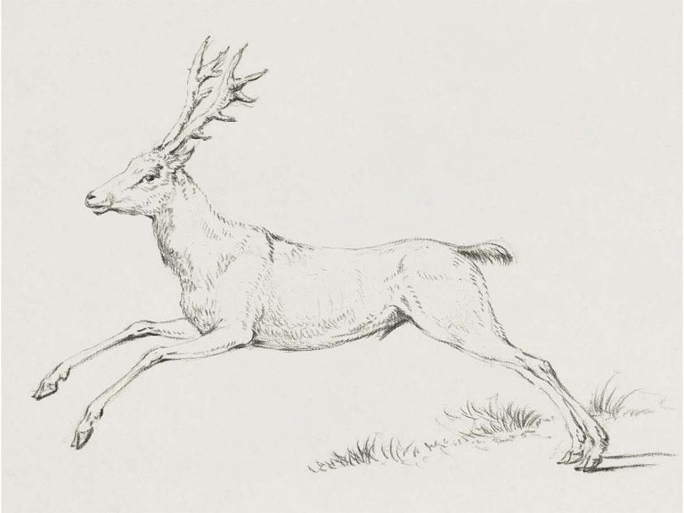 Lovingly restored vintage art - Trove Prints