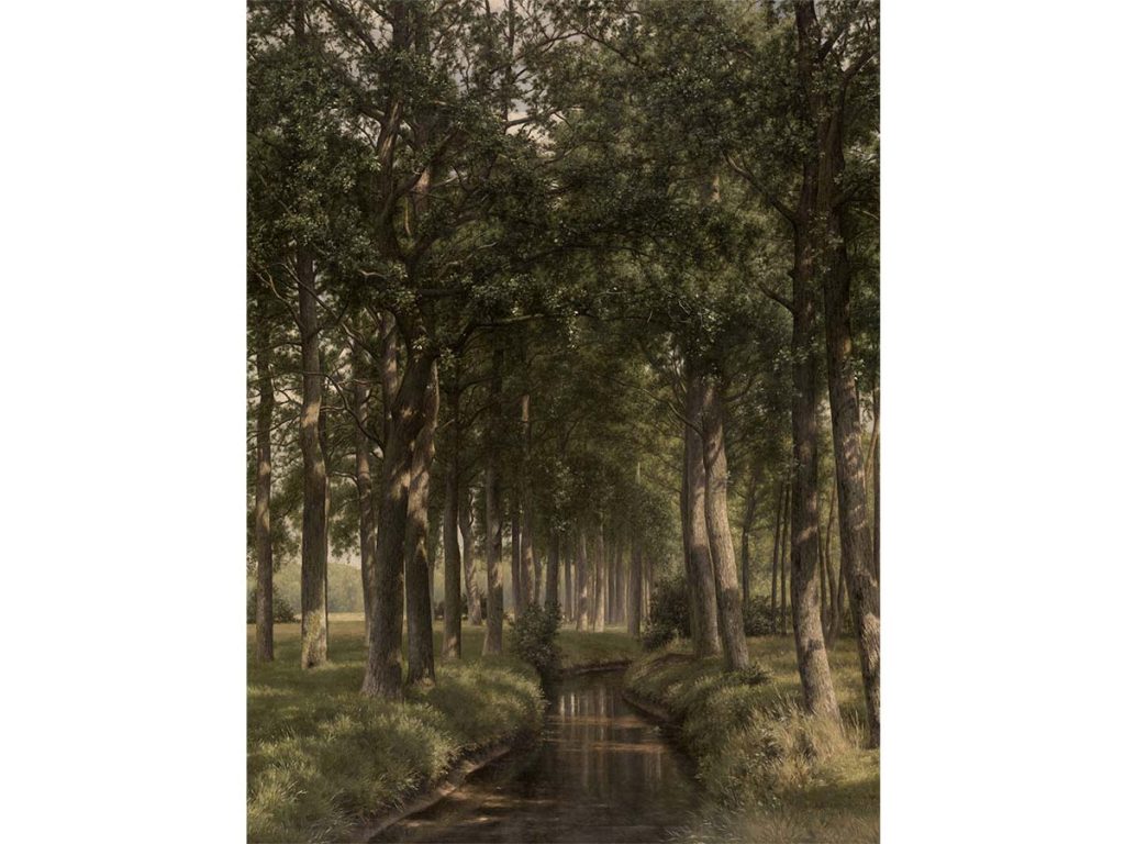 Forest in Sunshine - Trove Prints
