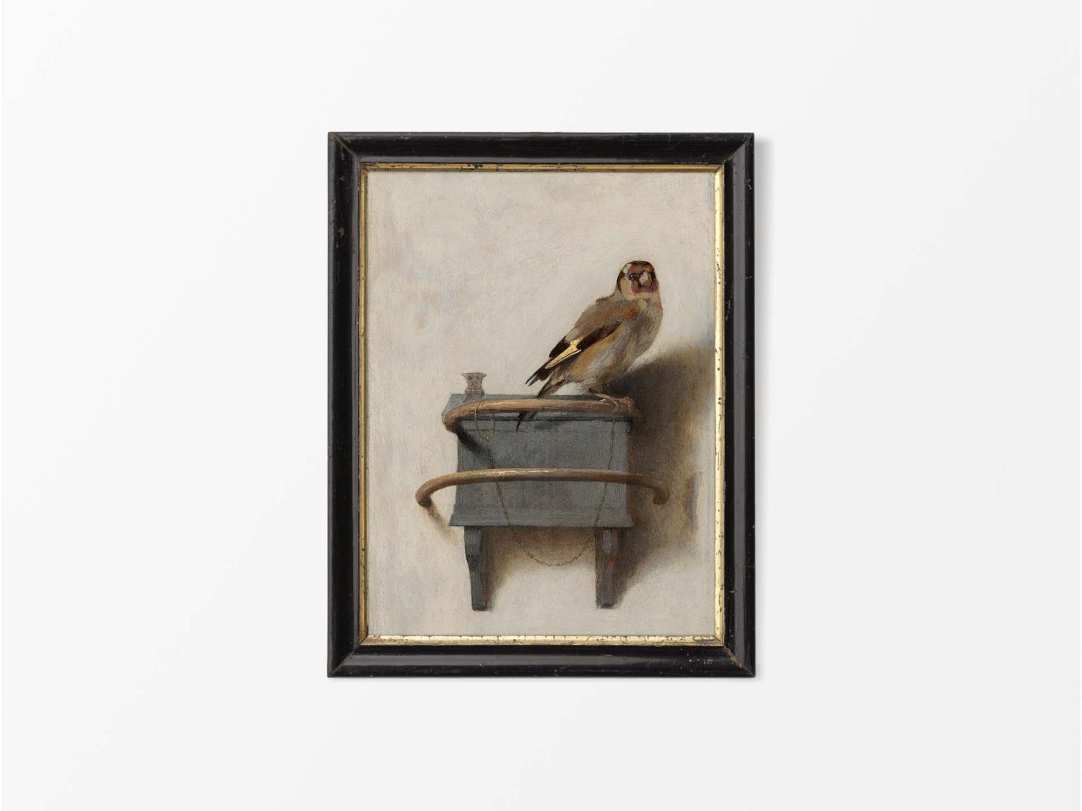 Goldfinch - Trove Prints