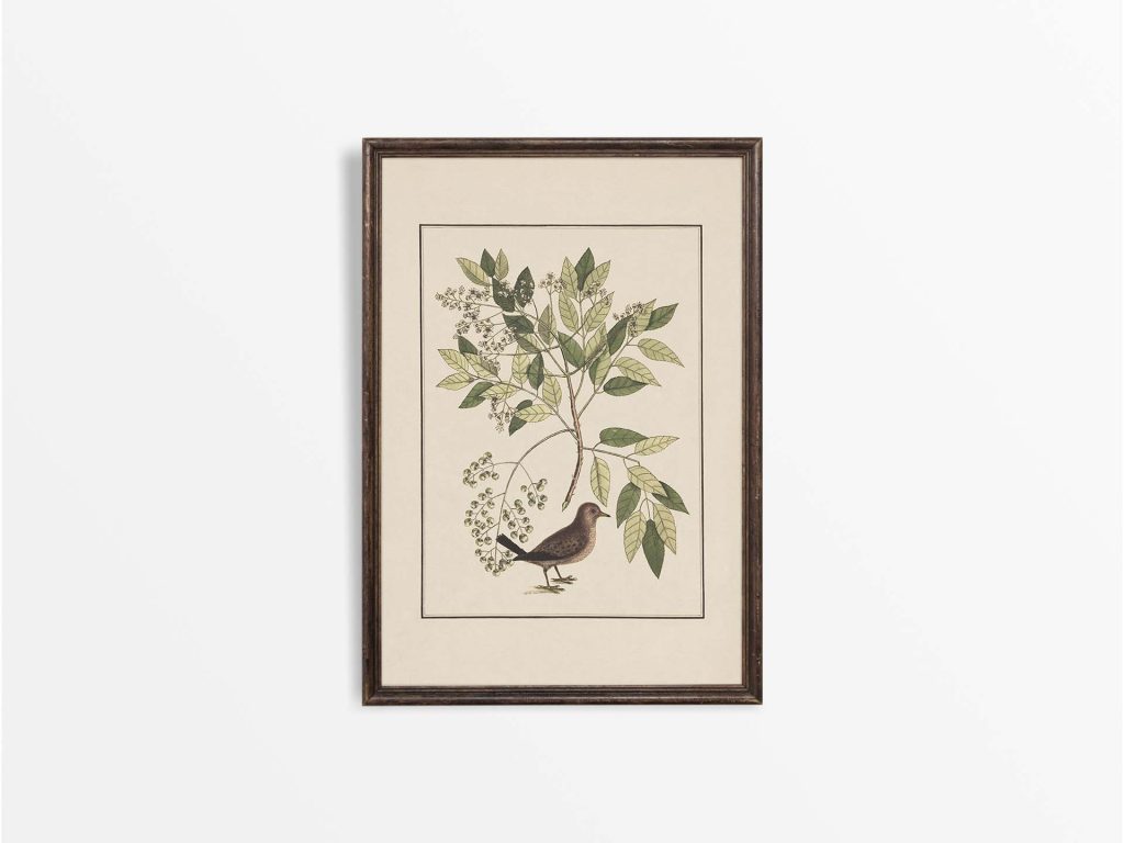 Print Sets - Trove Prints