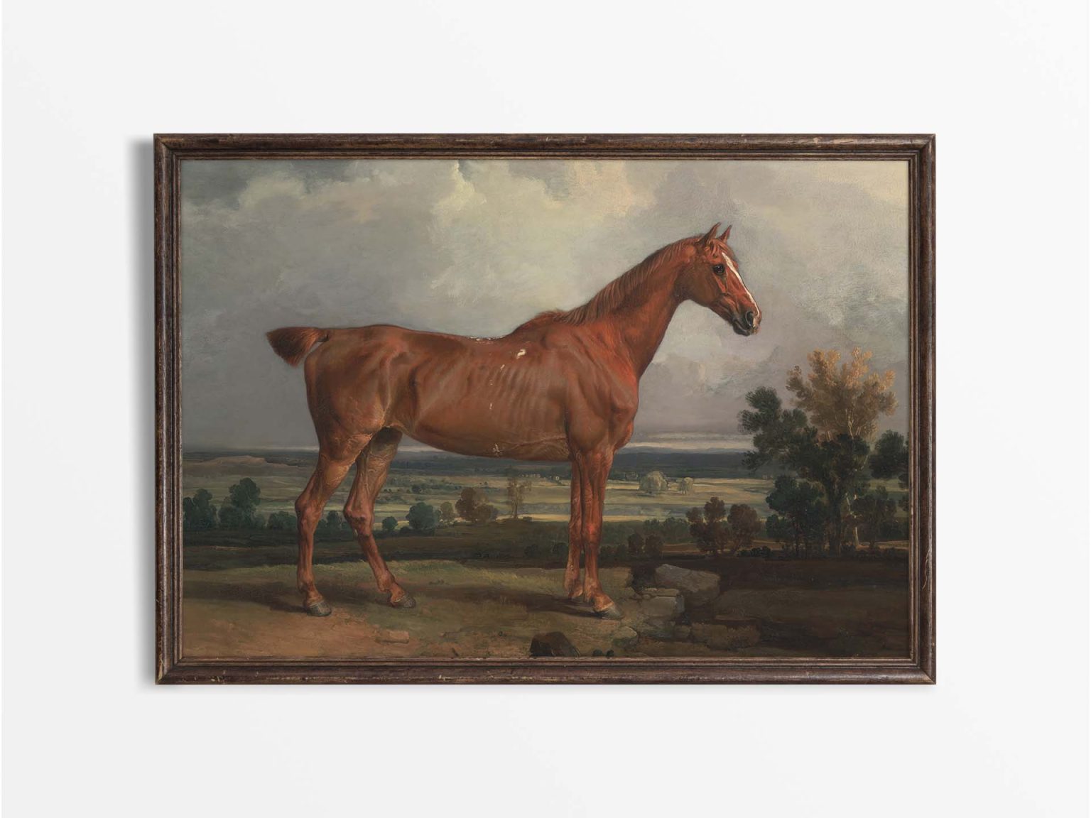 Lovingly restored vintage art - Trove Prints