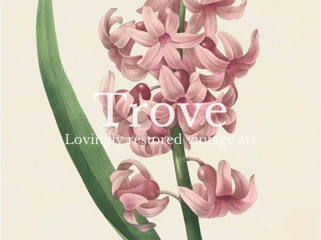 Hyacinth - Trove Prints