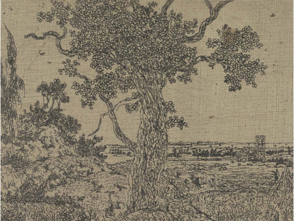 Oak Tree Etching - Trove Prints