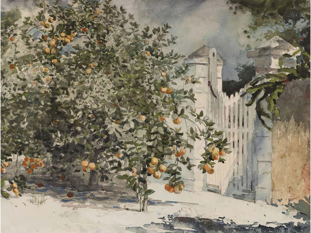 Orange Trees - Trove Prints