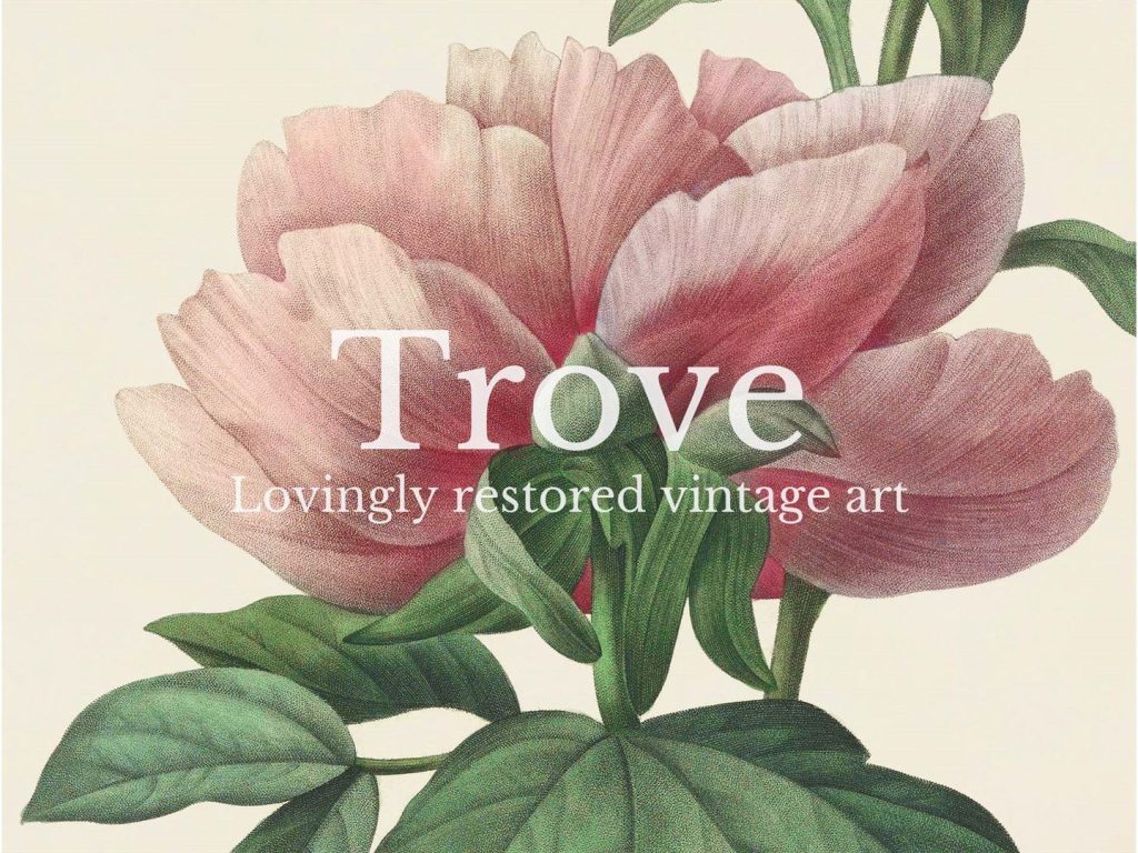 Peony II - Trove Prints