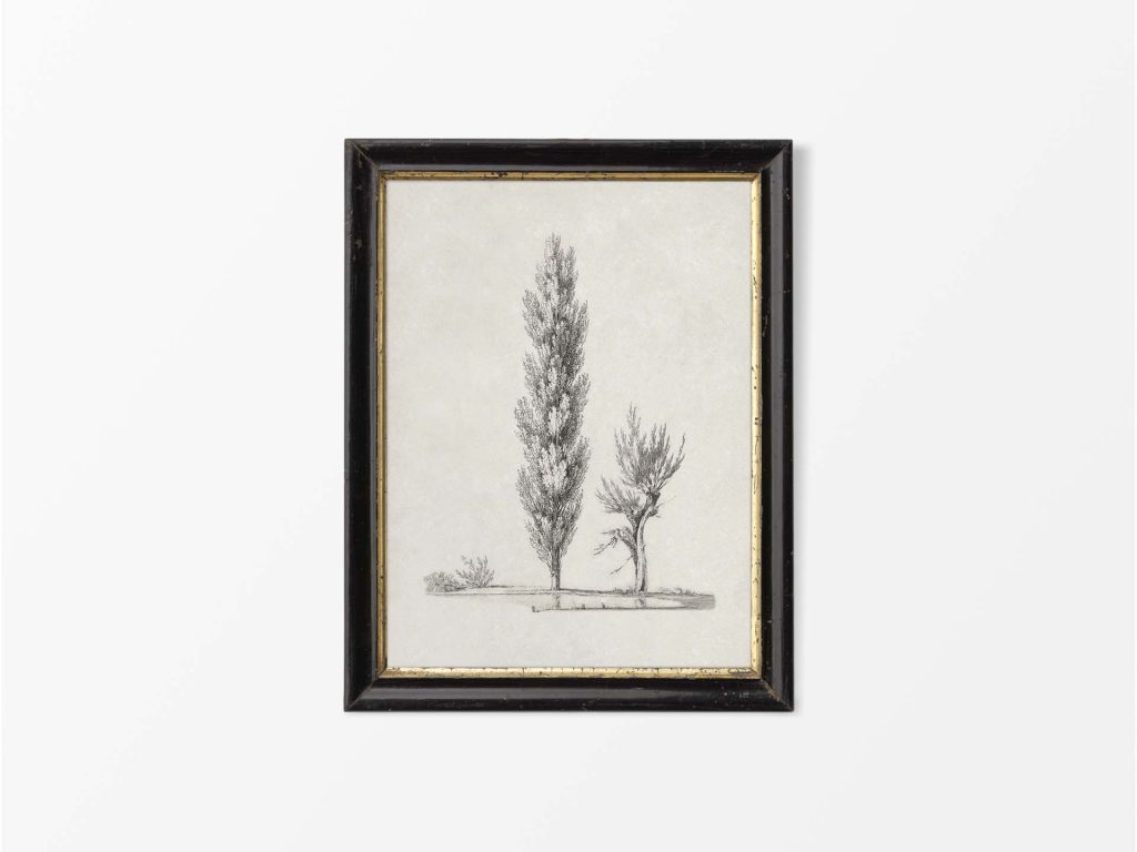 Tree Sketches (Set of Two) - Trove Prints