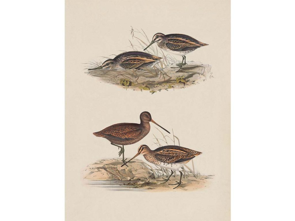 Snipes - Trove Prints