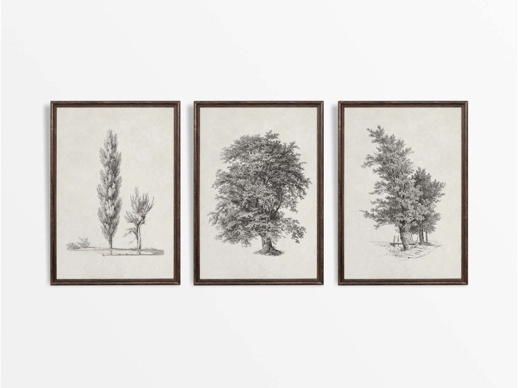 Tree Sketches (Set of Three) - Trove Prints