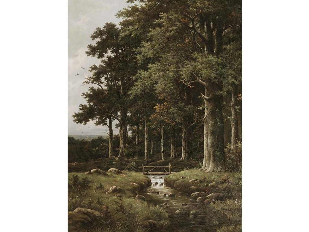 Forest Stream - Trove Prints