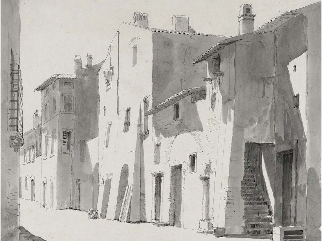 Apple Tree - Trove Prints