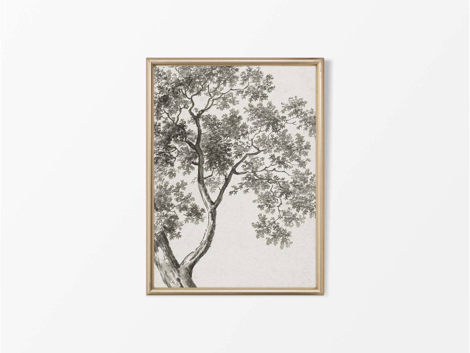 Apple Tree - Trove Prints