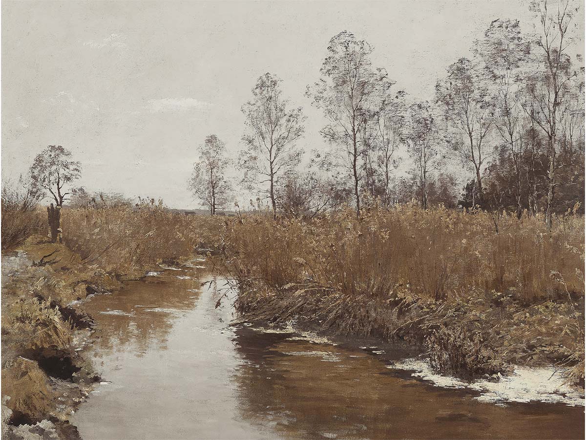 Forest Stream - Trove Prints